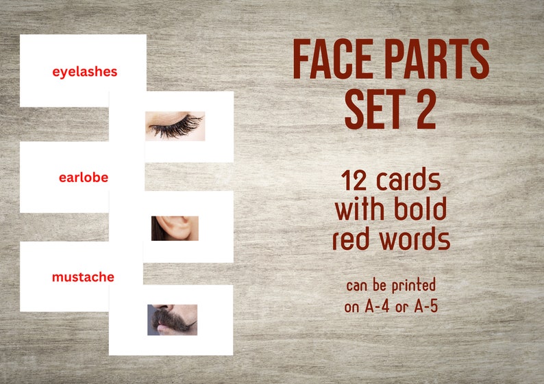 Human Face Parts Flash Cards - Set 2(PDF) - Etsy