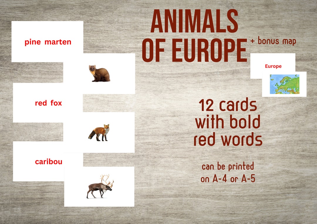 Animals and Map of Europe Flash Cards(pdf) - Etsy