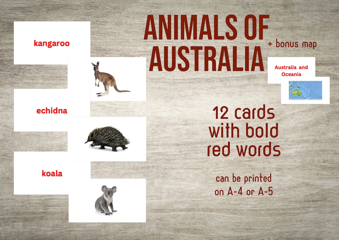 Animals and Map of Australia Flash Cards(pdf) - Etsy