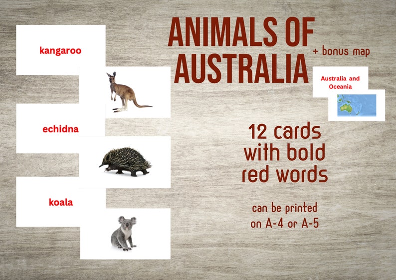 Animals and Map of Australia Flash Cards - Etsy Australia