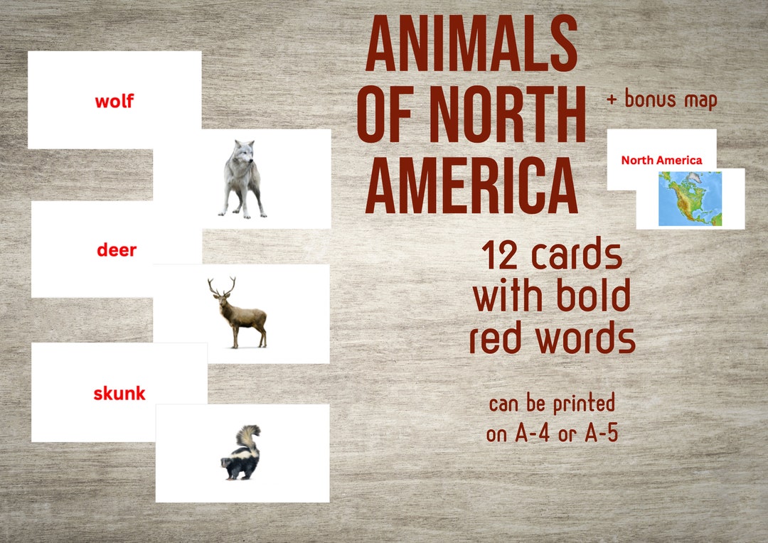 Animals and Map of North America Flash Cards(pdf) - Etsy
