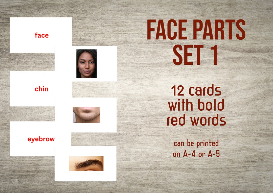 Human Face Parts Flash Cards Set 1 - Etsy
