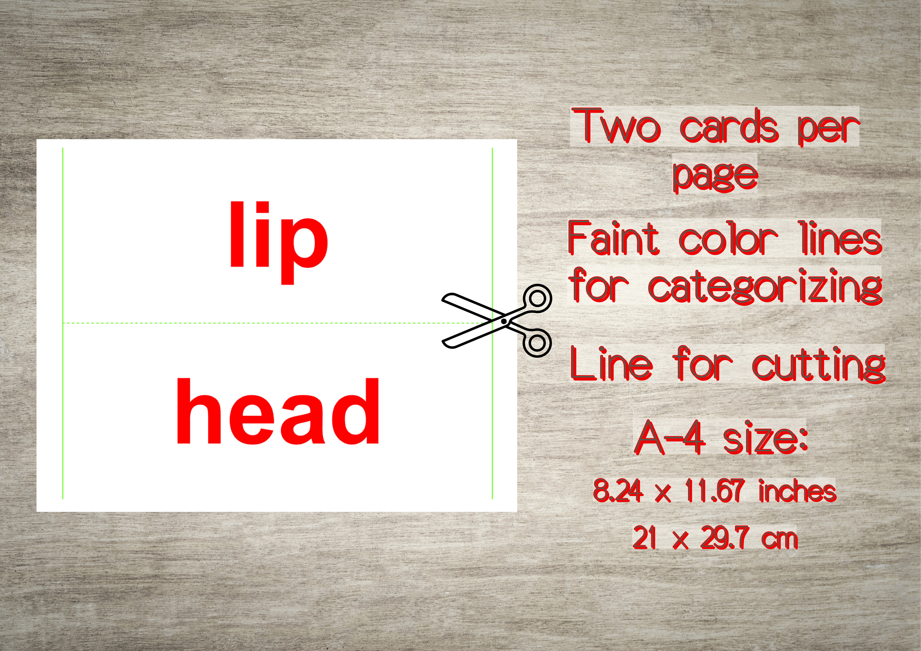 500 Big Bold Red Reading Program Flash Cards With a Schedule(pdf) - Etsy