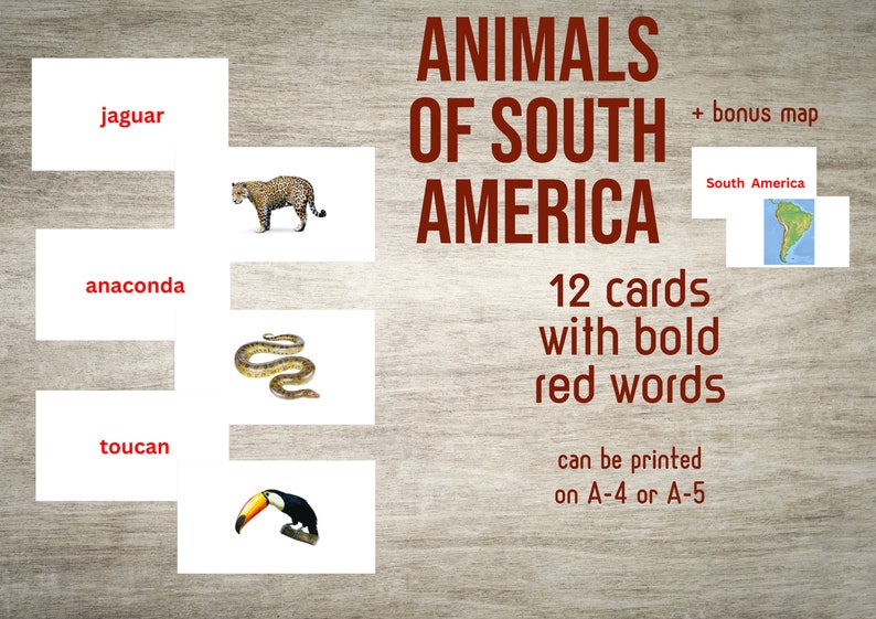 Animals and Map of South America Flash Cards(pdf) - Etsy