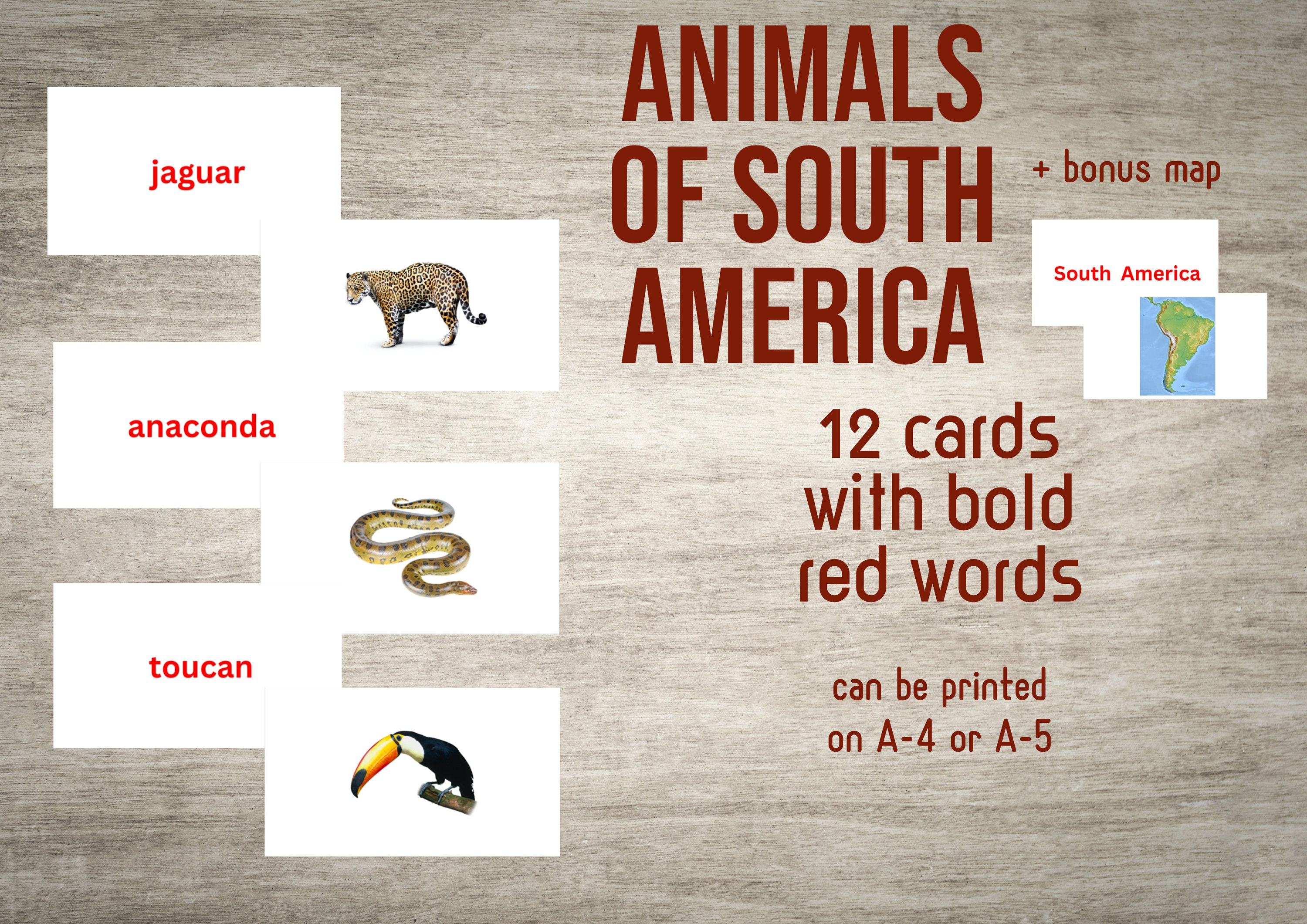 Animals and Map of South America Flash Cards(pdf) - Etsy
