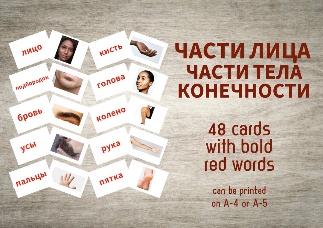 48 Russian Body and Face Parts Flashcards Collection(pdf) - Etsy