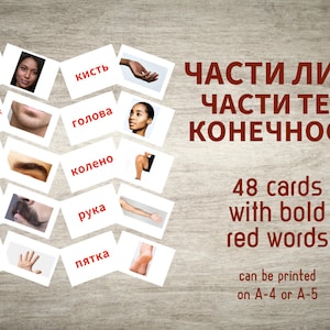 48 Russian Body and Face Parts Flashcards Collection(pdf) - Etsy