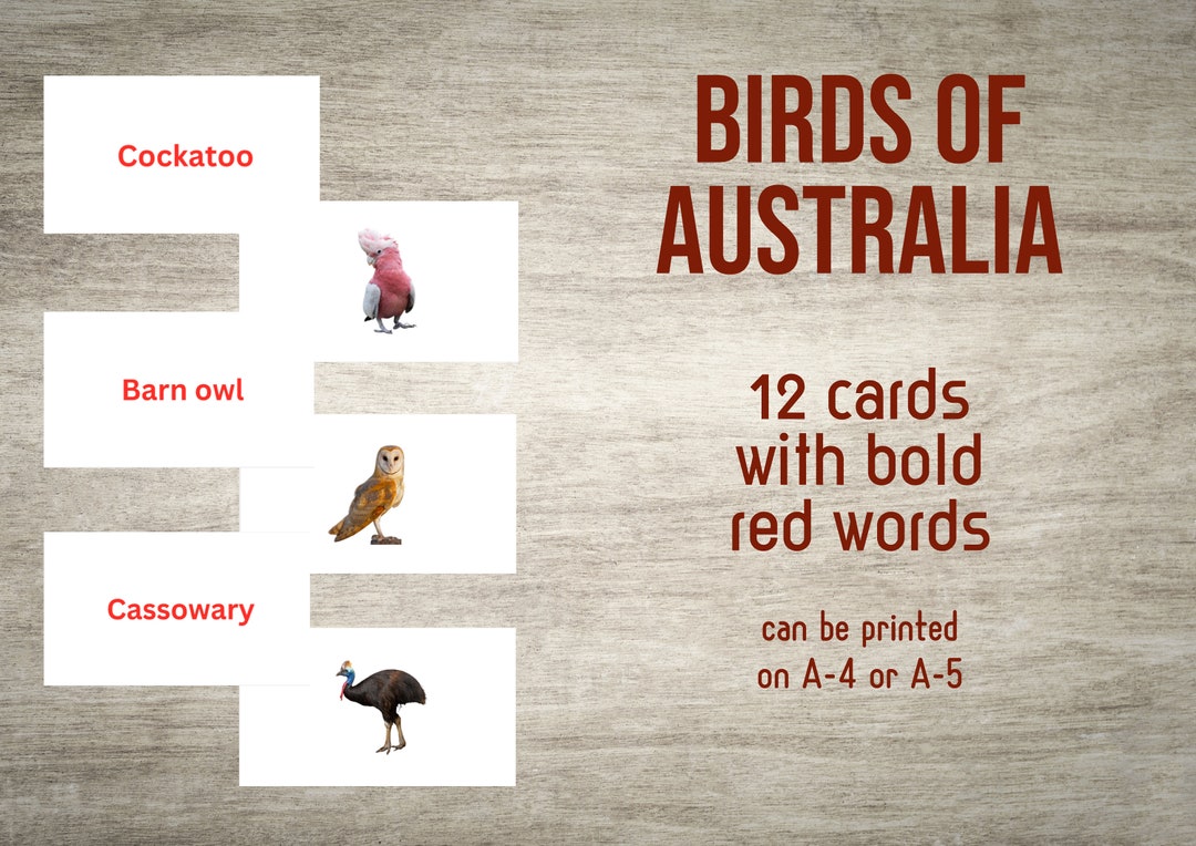 Birds of Australia Flash Cards(pdf) - Etsy