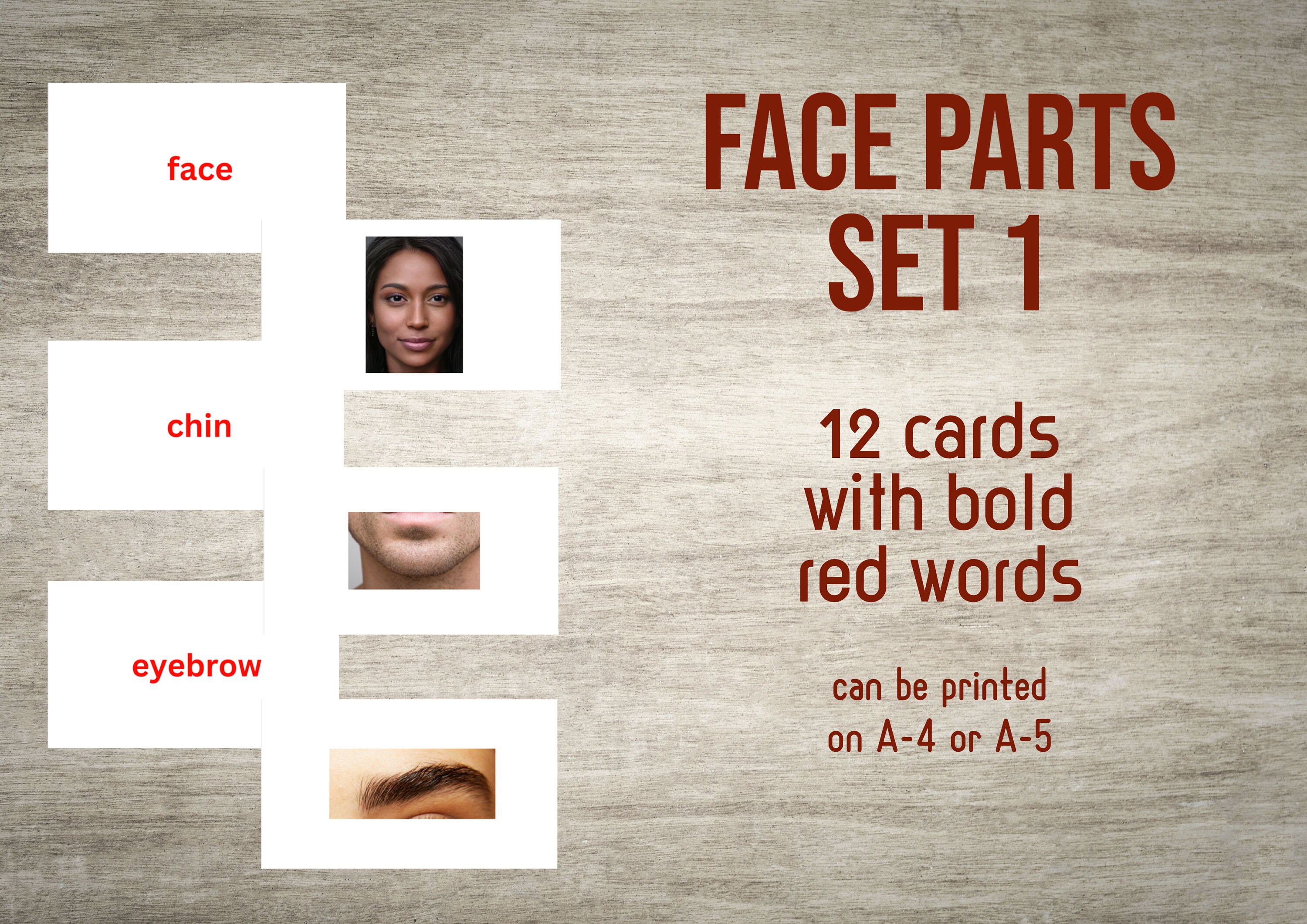48 Body and Face Parts Flashcards Collection - Etsy