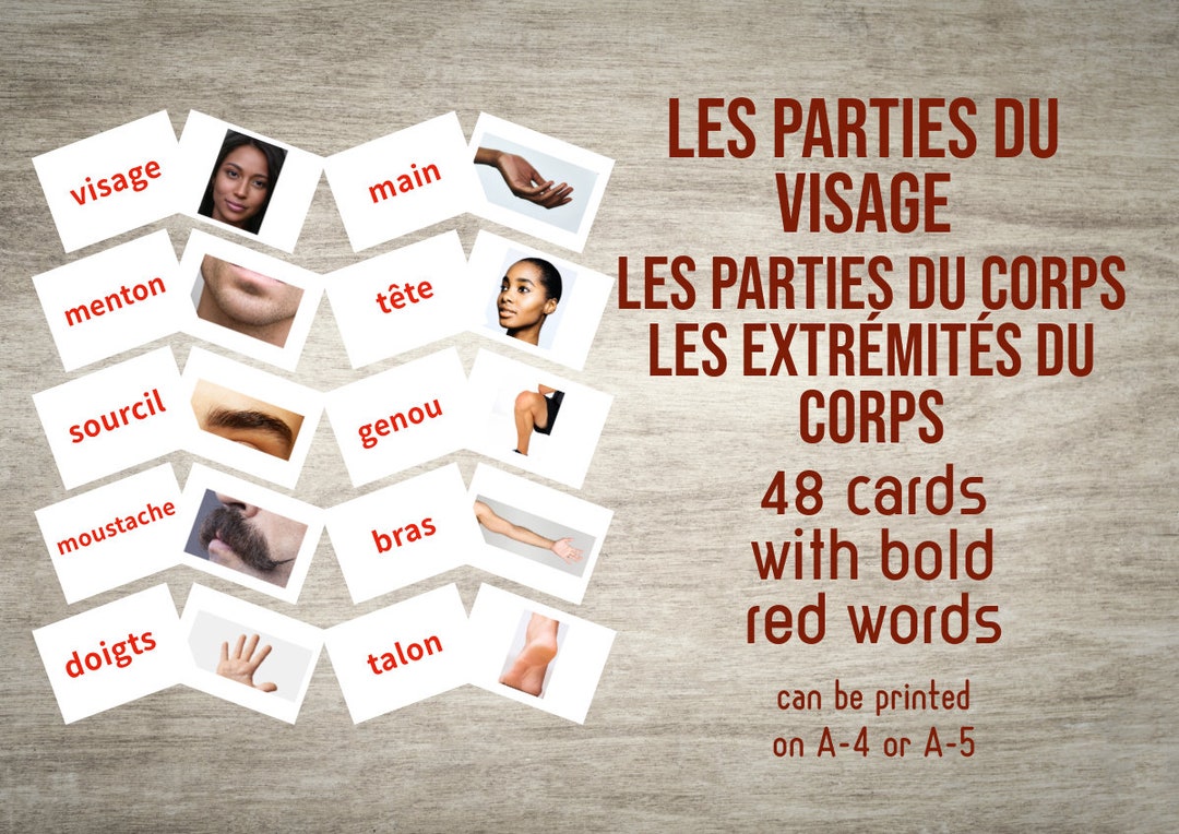 48 French Body and Face Parts Flashcards Collection(pdf) - Etsy