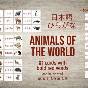Japanese Hiragana Animals of the World With Maps Flash Cards(pdf) - Etsy