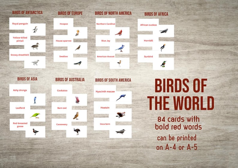 Tarjetas didácticas de aves del mundo (PDF) - Etsy México