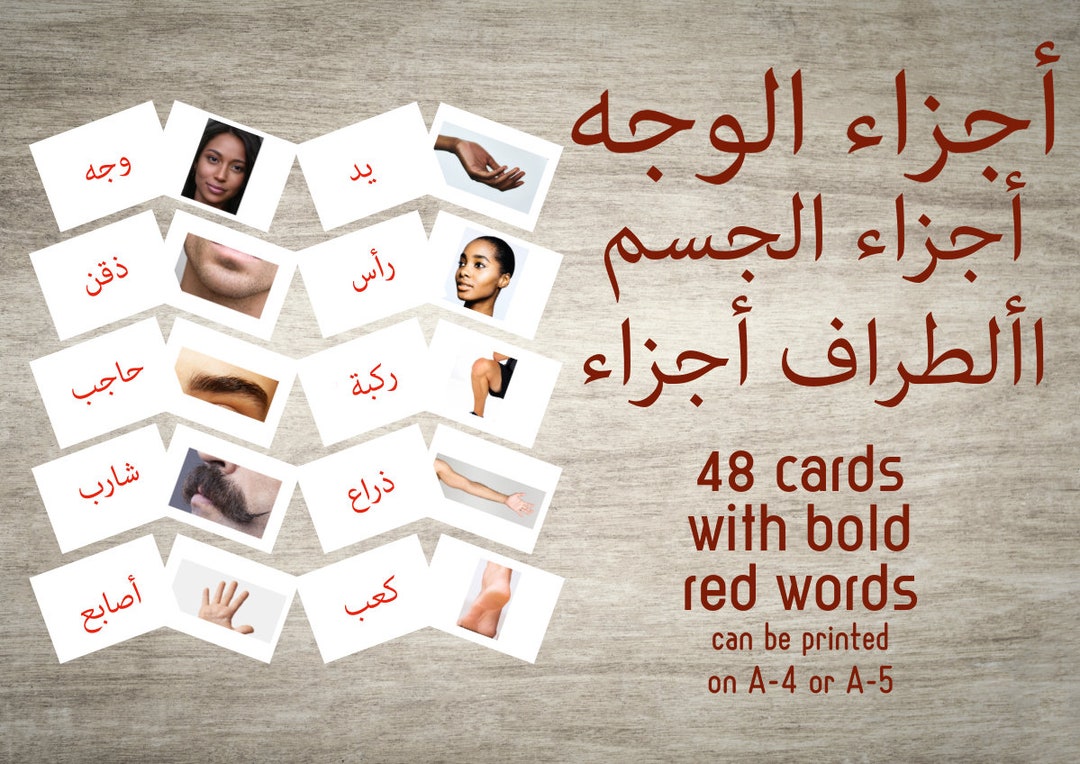48 Arabic Body and Face Parts Flashcards Collection(pdf) - Etsy