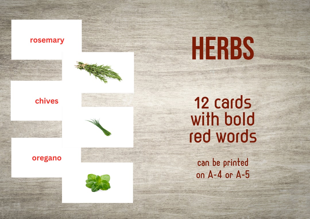 Herbs Flash Cards(pdf) - Etsy