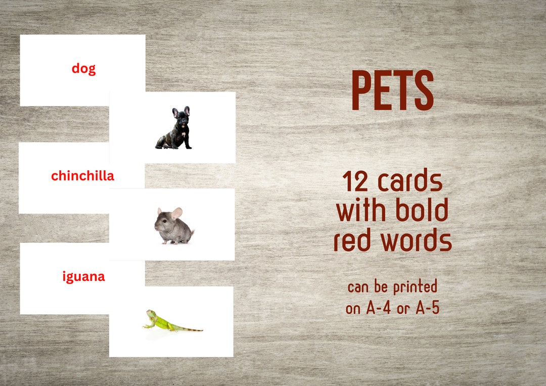 Pets Flash Cards(pdf) - Etsy