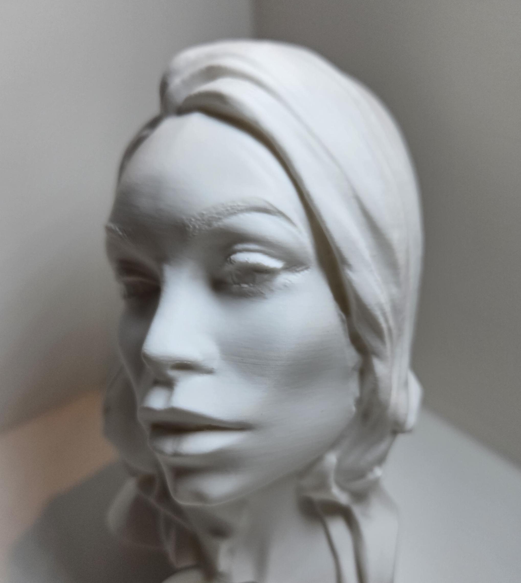 3D Printed Portrait Sculptures - Etsy