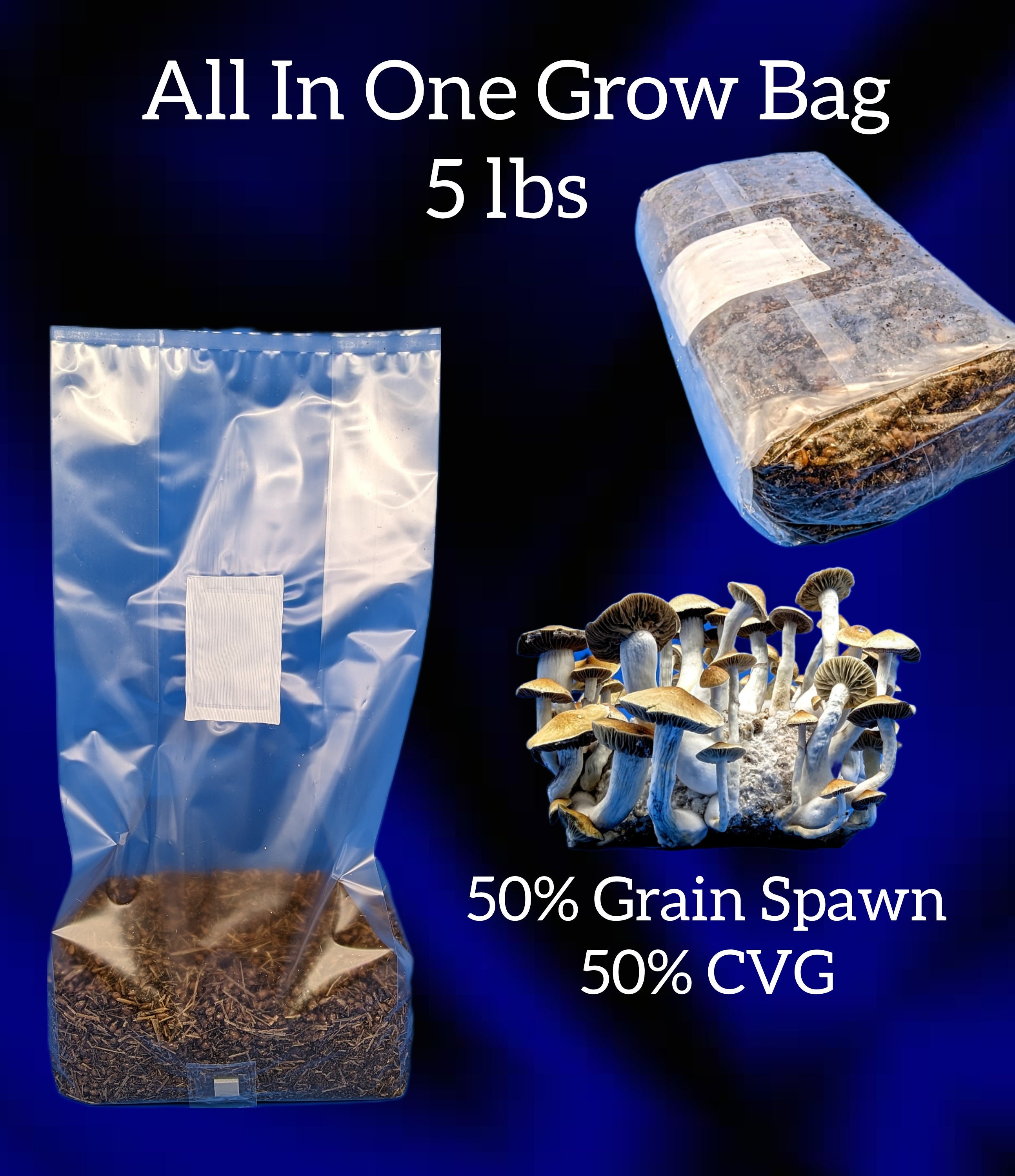 Magical All-in-one Mushroom Grow Bag 5 Lbs, Half Grain Spawn, Half CVG ...