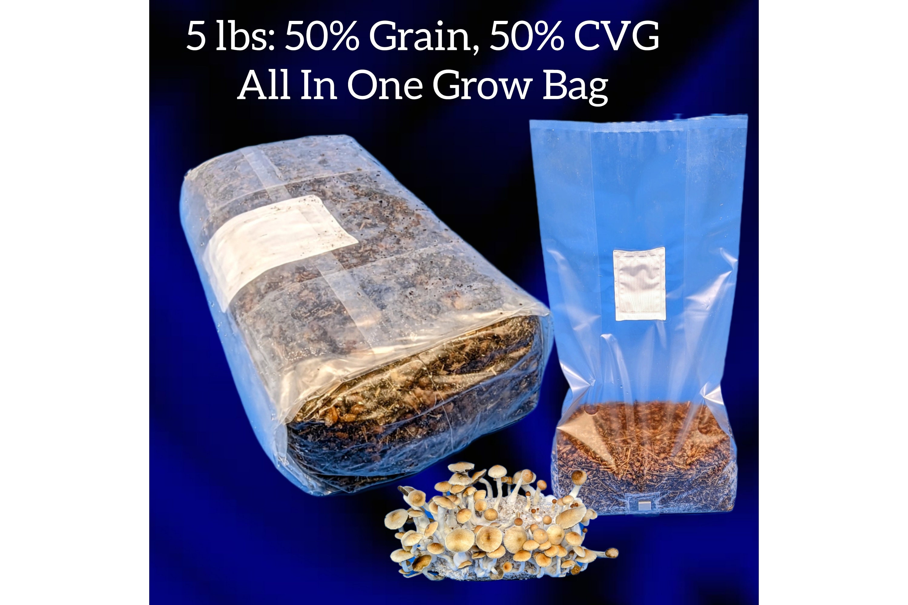 Magical All-in-one Mushroom Grow Bag 5 Lbs, Half Grain Spawn, Half CVG ...