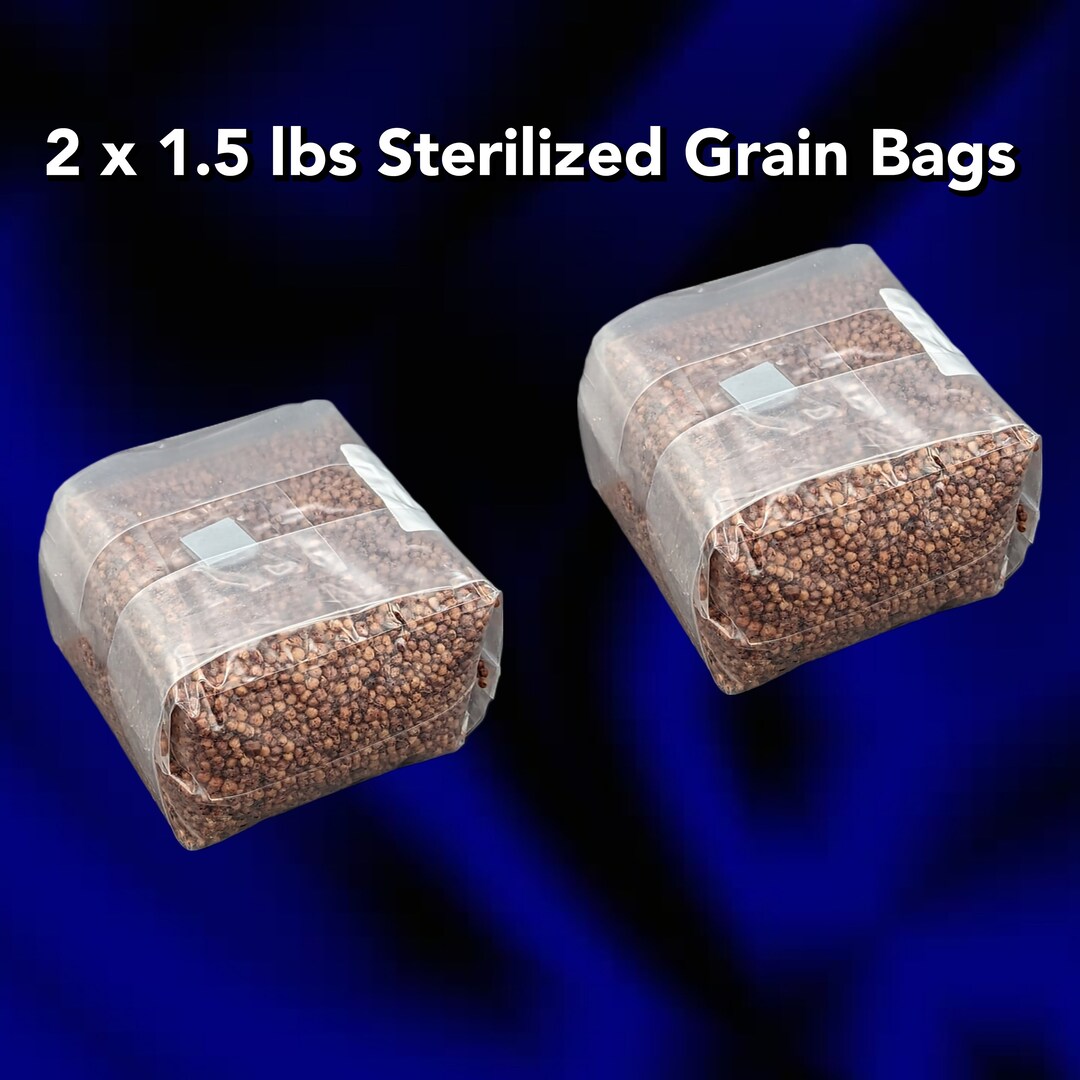 2-pack of 1.5 Lbs Sterilized Milo Sorghum Mushroom Mini Grain Grow Bags ...