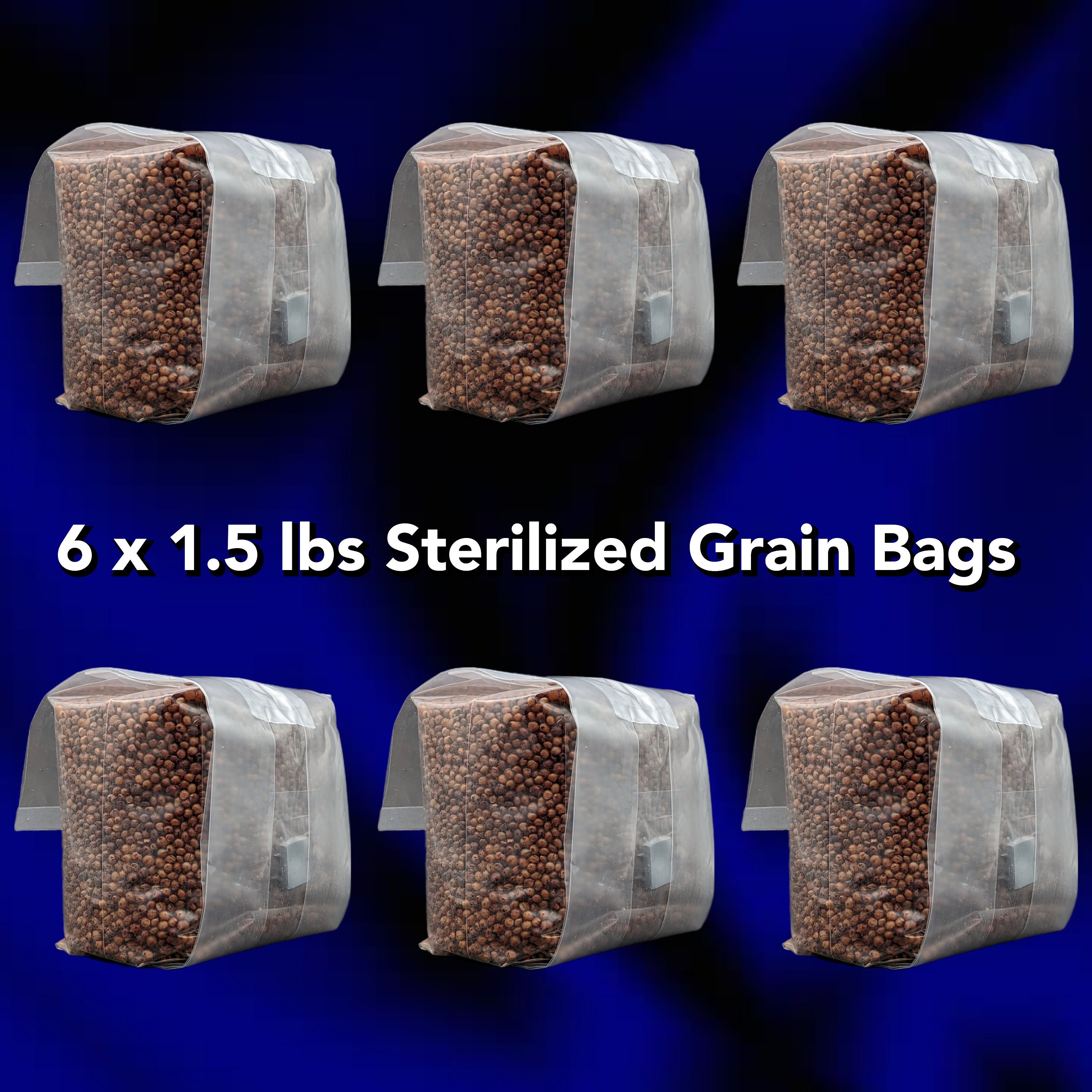 6-pack of 1.5 Lbs Sterilized Milo Sorghum Mushroom Mini Grain Grow Bags ...