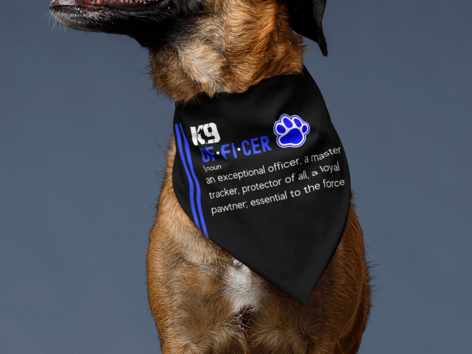 K9 Collar for K9 Officer Gift K9 Police Officers Gifts K9 - Etsy
