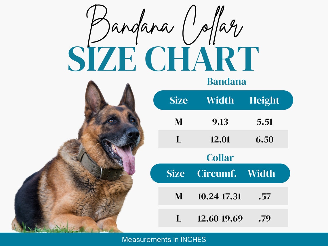 K9 Collar for K9 Officer Gift K9 Police Officers Gifts K9 - Etsy