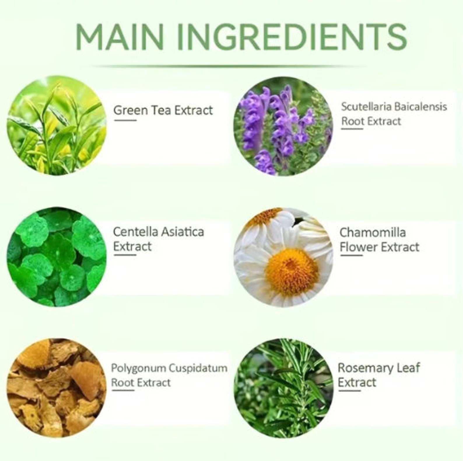 Green Tea Mask,deep Cleanse Green Tea Mask,green Mask Stick for ...