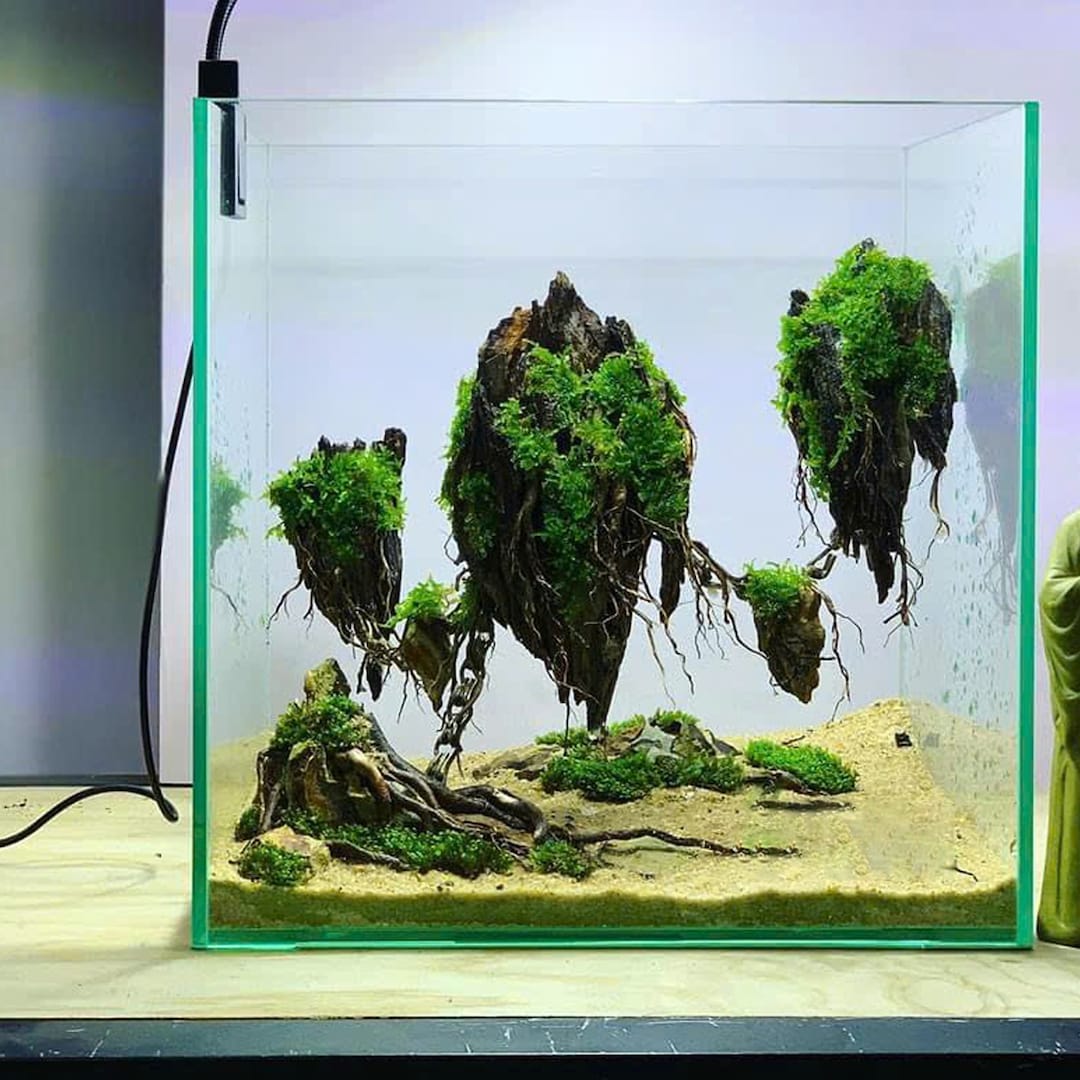 Avatar Floating Island Aquarium Decor: Fish & Shrimp House - Etsy