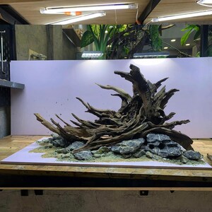 Aquascape Aquarium – Natural Aquarium Wood for Planted Tanks & Fish ...