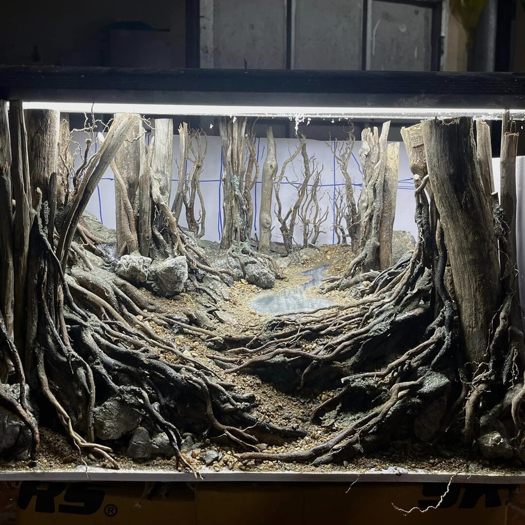 Aquascape, Aquarium Decor,aquascaping Decor,the Waxing Moon Aquarium ...