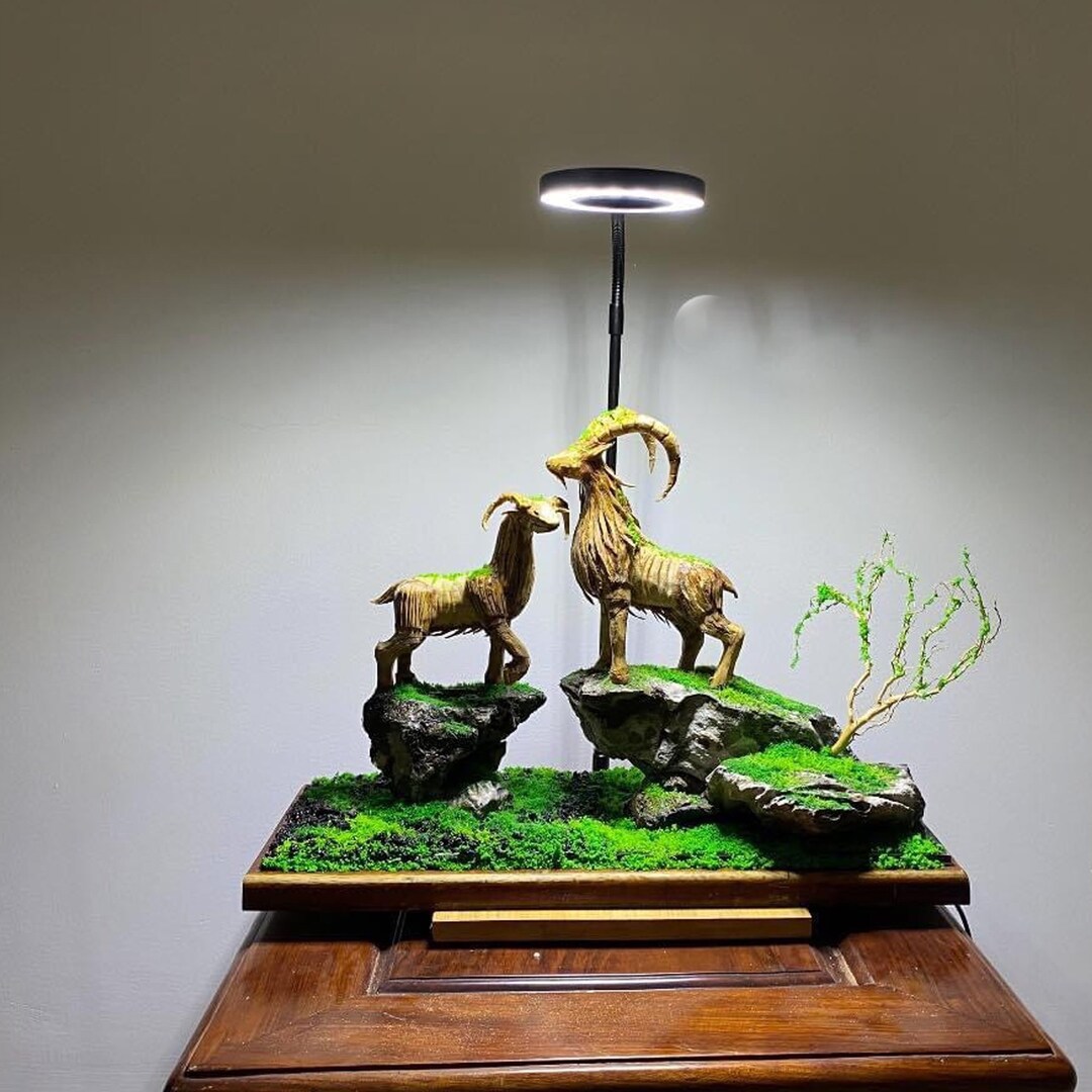 Mythical Goat Aquarium Decoration: Wood & Stone Fish Tank Decor - Etsy
