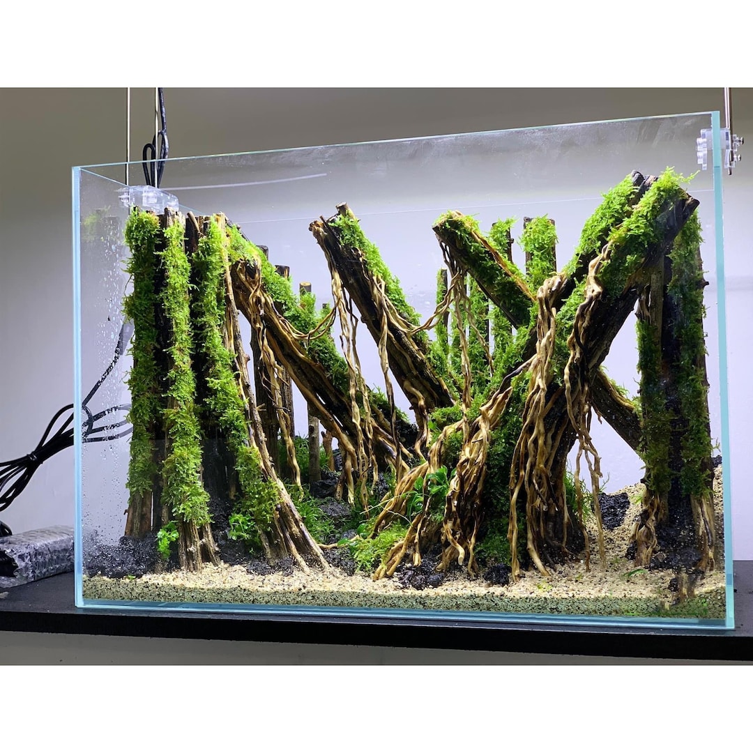 Custom Aquarium Decorations | Personalized Fish Tank Accessories - Etsy