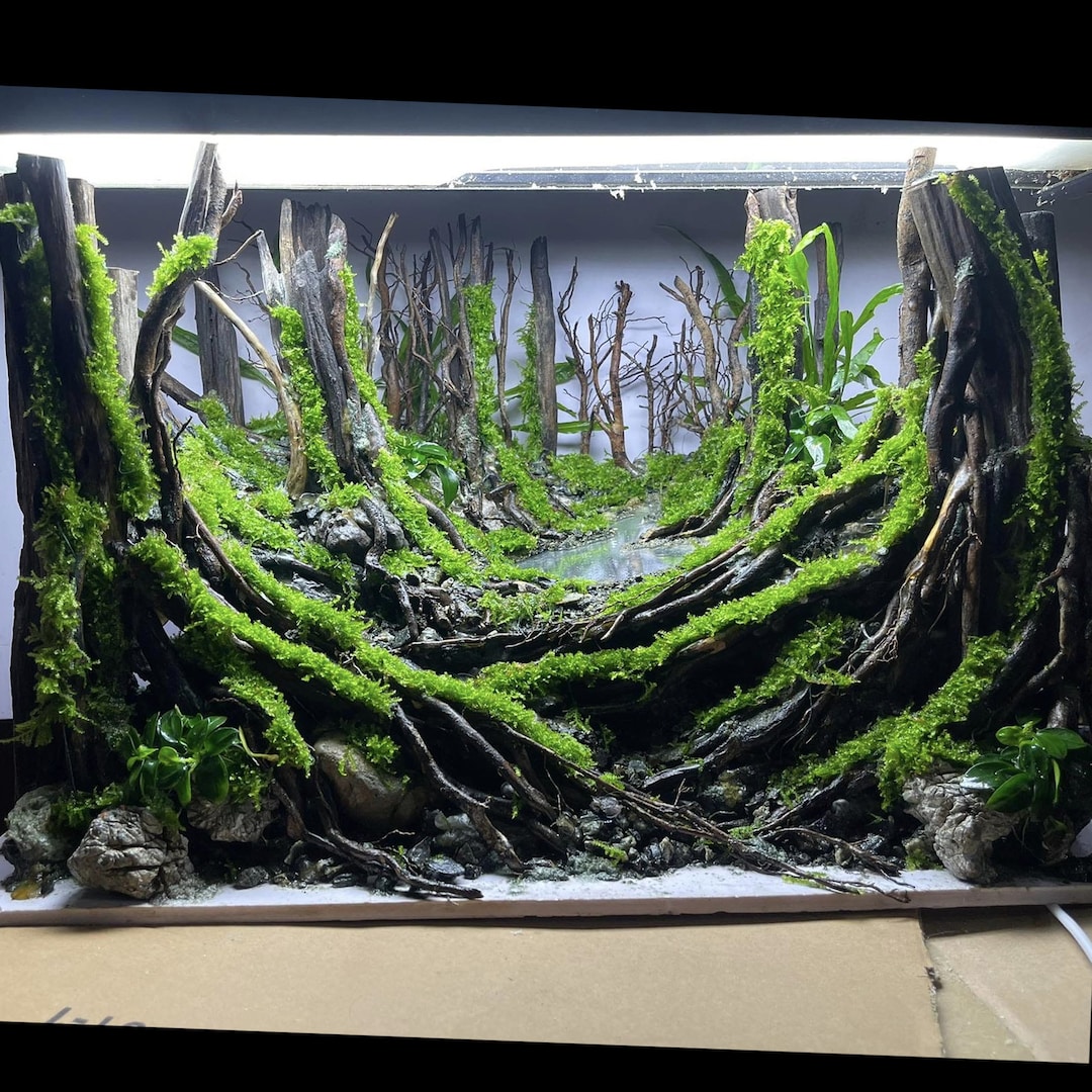 Aquascape, Aquarium Decor,aquascaping Decor,the Waxing Moon Aquarium ...