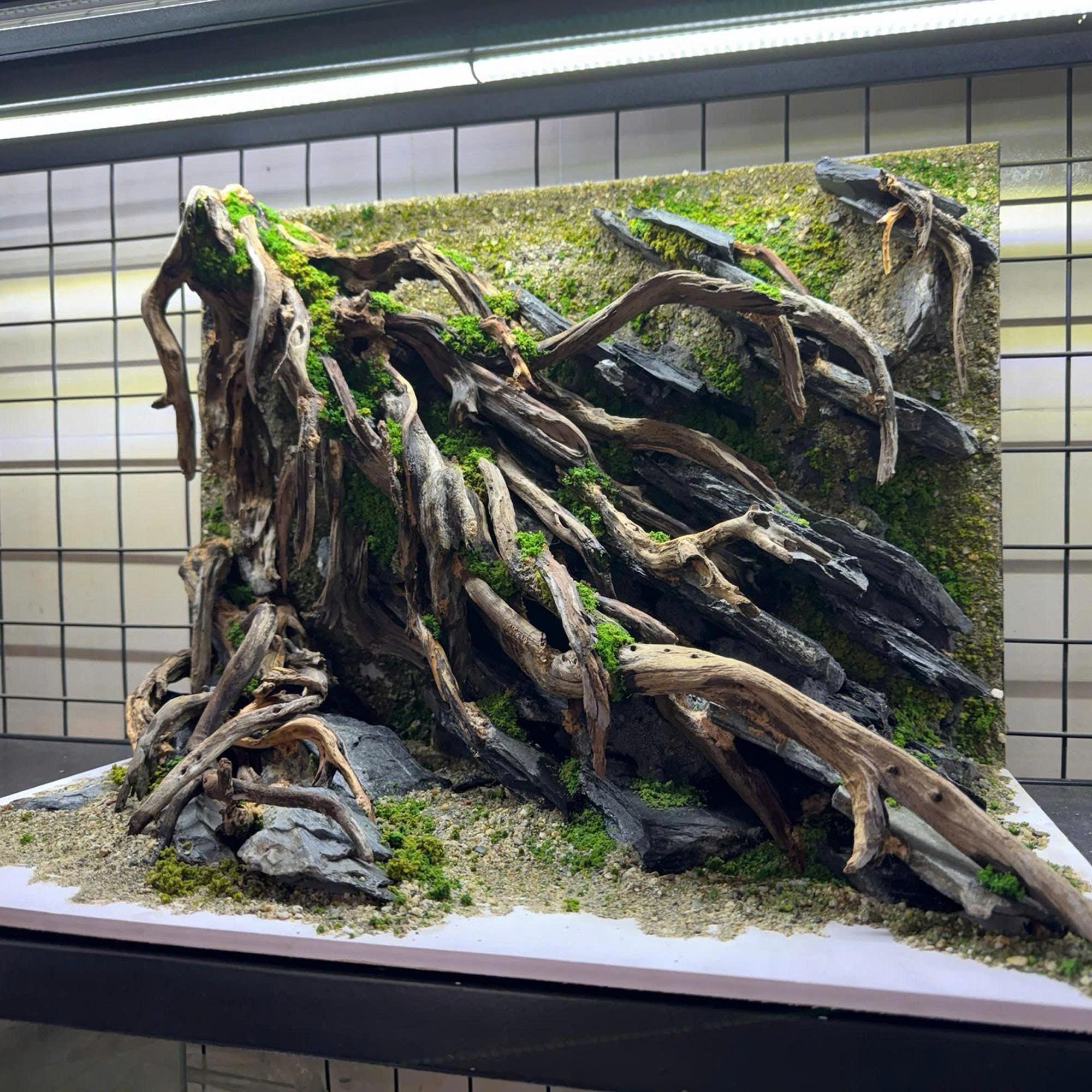 Handcrafted Aquarium Aquascape: Fish & Shrimp Tank Decor, Custom Size ...
