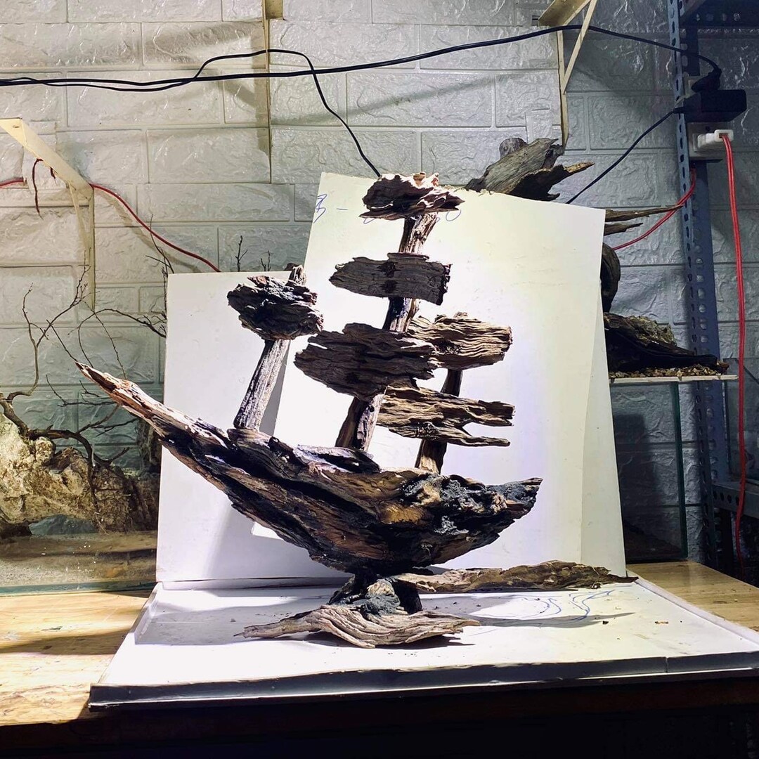Handmade Shipwreck Aquarium Decor: Acacia Wood Fish Tank Ornament - Etsy