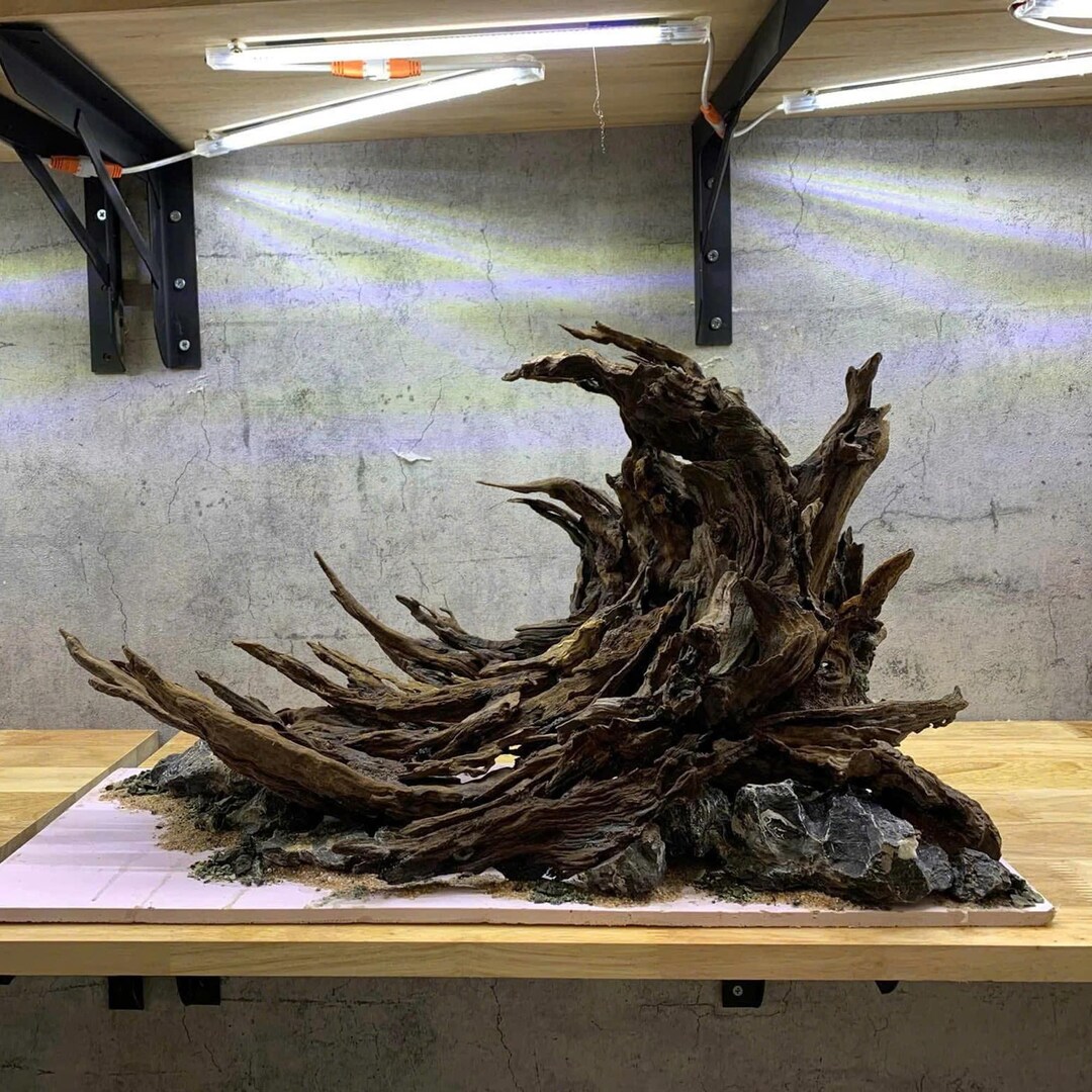Aquascape Aquarium – Natural Aquarium Wood for Planted Tanks & Fish ...