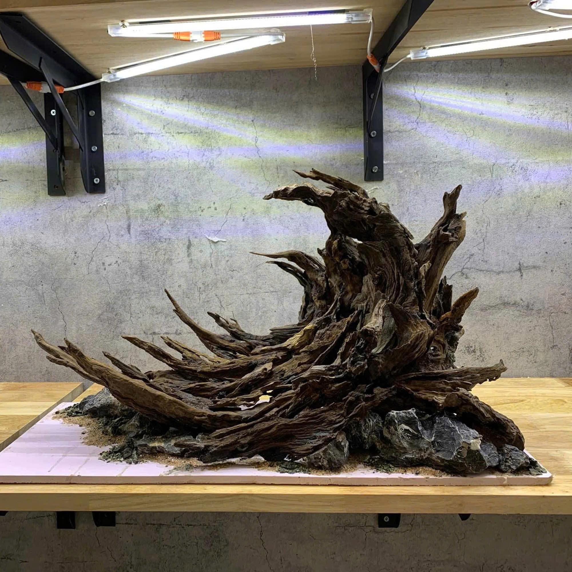 Aquascape Aquarium – Natural Aquarium Wood for Planted Tanks & Fish ...