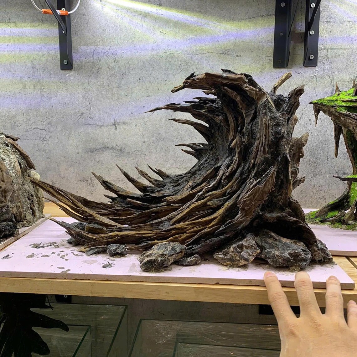 Aquascape Aquarium – Natural Aquarium Wood for Planted Tanks & Fish ...