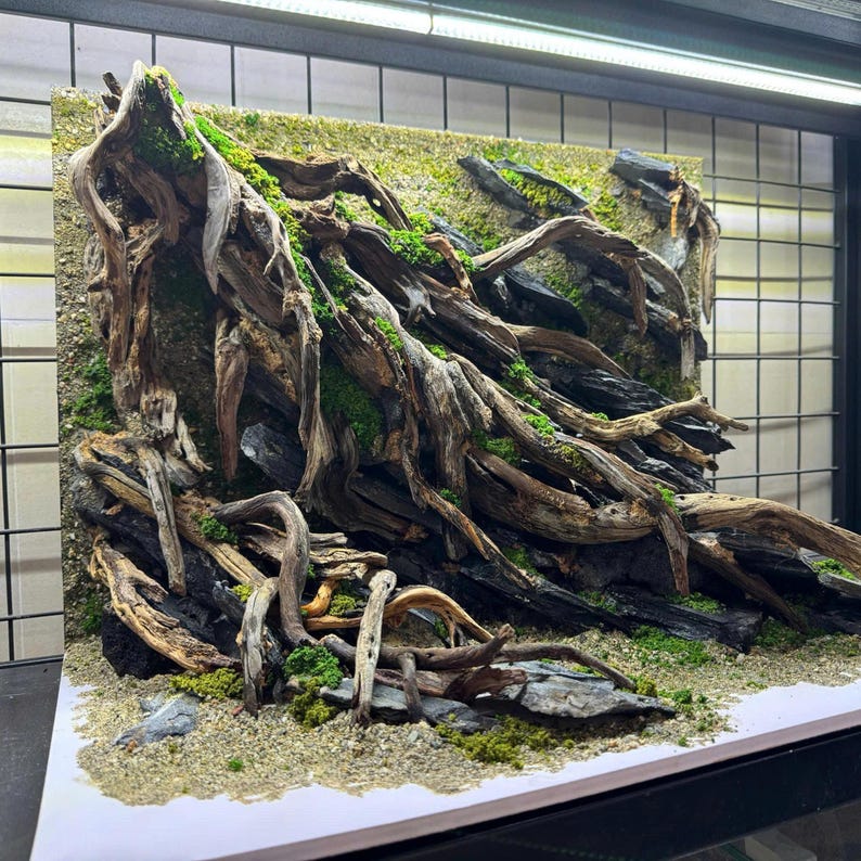 Handcrafted Aquarium Aquascape: Fish & Shrimp Tank Decor, Custom Size ...