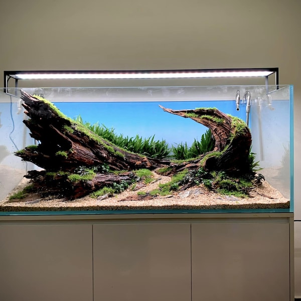 Extra Large Aquarium Decor - Etsy
