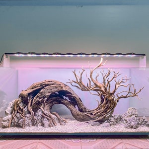 Aquarium Decor,custom Size,aquarium Decoration, House for Fish and ...