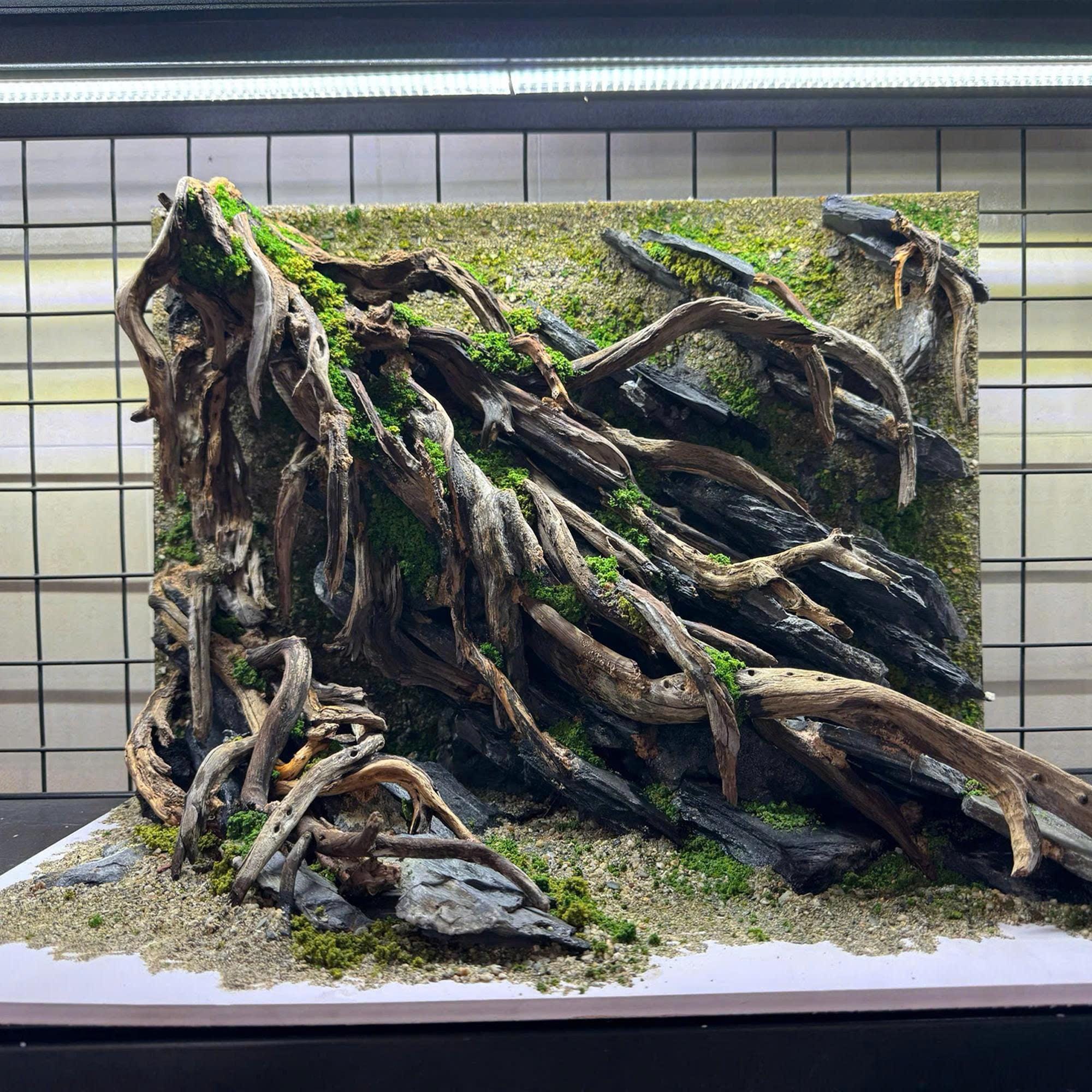 Handcrafted Aquarium Aquascape: Fish & Shrimp Tank Decor, Custom Size ...