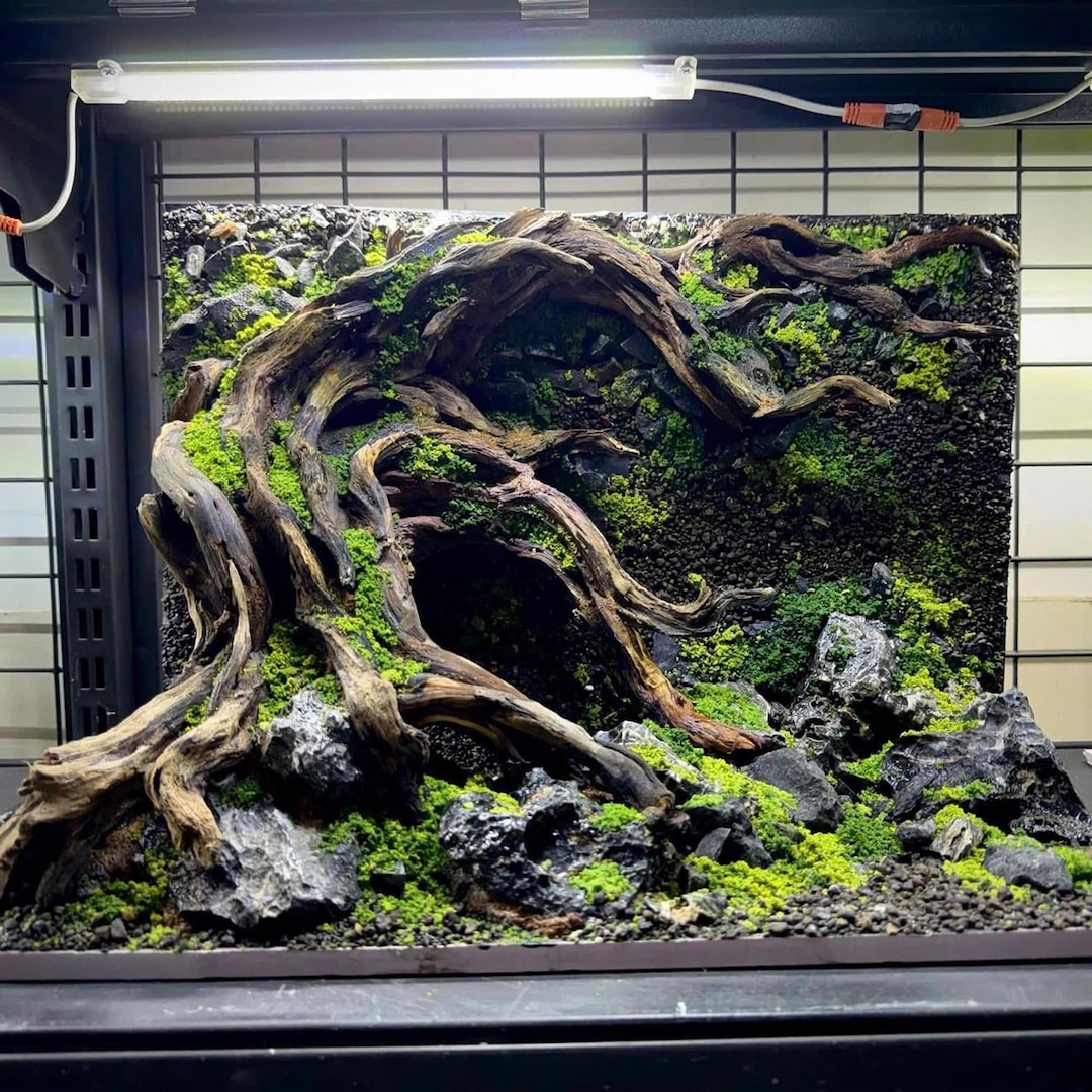 Aquarium Decorations, Unique Aquascape, Aquarium Background,fish Tank ...