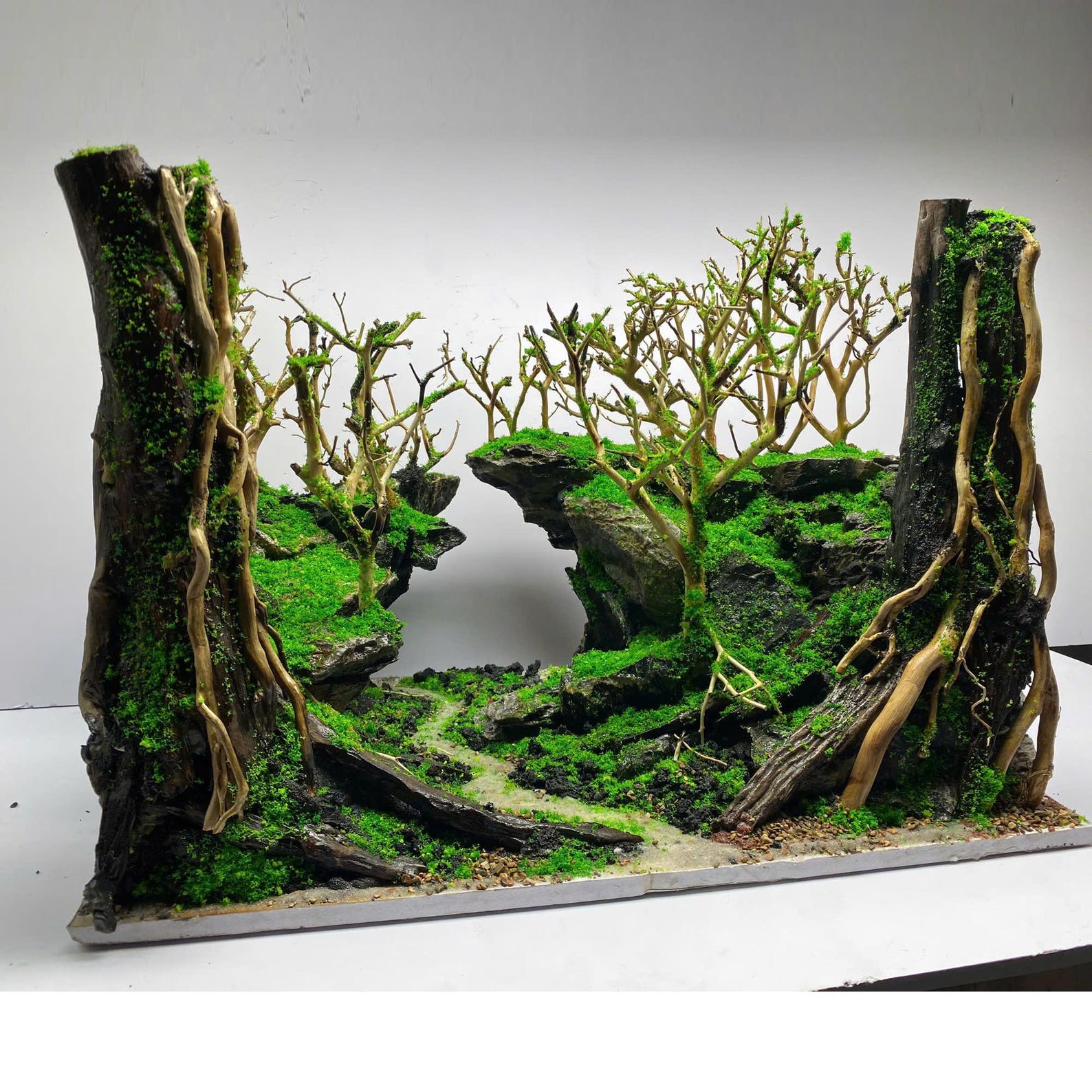 Custom Aquascape Aquarium Decor: Root Wood Fish/shrimp Tank - Etsy