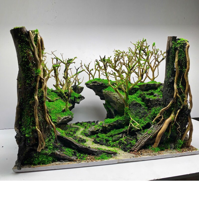 Custom Aquascape Aquarium Decor: Root Wood Fish/shrimp Tank - Etsy