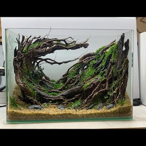 Natural Aquarium Decor,aquarium Decoration, House for Fish and Shrimp ...