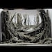Aquascape, Aquarium Decor,aquascaping Decor,the Waxing Moon Aquarium ...
