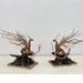 Legendary Dragon Aquarium Decor: Handmade Wood & Stone Fish Tank ...