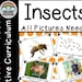 Creative Curriculum Insects Study-all Pictures Needed - Etsy