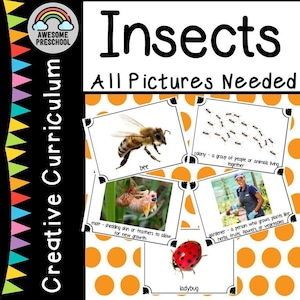 Creative Curriculum Insects Study-all Pictures Needed - Etsy